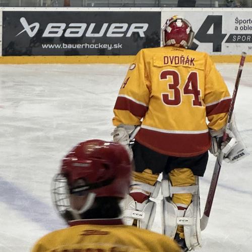 David Dvorak - Stats, Contract, Salary & More