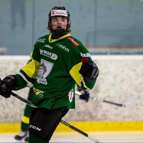 Michal Svrcek - Stats & Facts - Elite Prospects