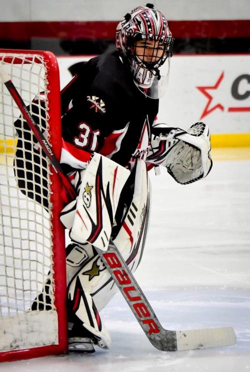 Tyler Haley - Elite Prospects