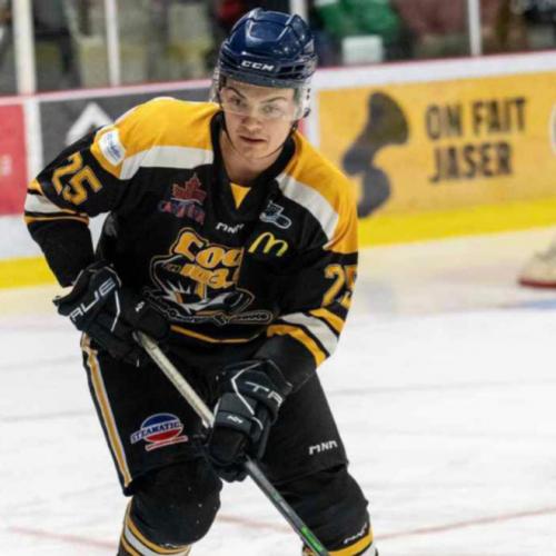 Michaël Pellerin - Stats, Contract, Salary & More