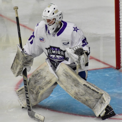 Michael Polston - Stats, Contract, Salary & More