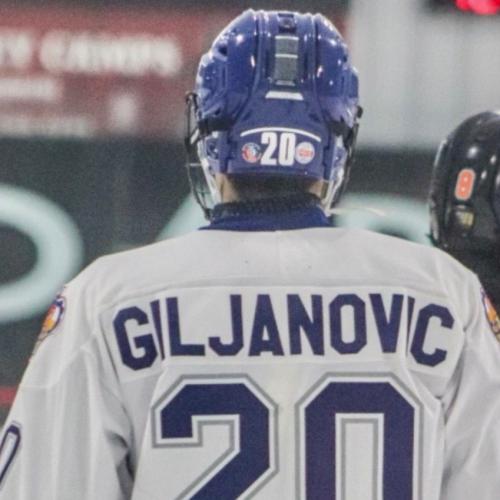 Andrew Giljanovic - Stats, Contract, Salary & More