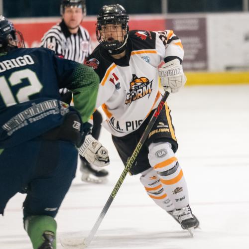 Tibor Nemeth - Stats, Contract, Salary & More