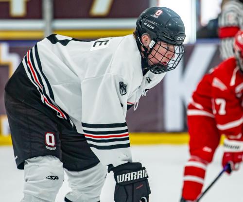 Kayden Lemire - Stats & Facts - Elite Prospects