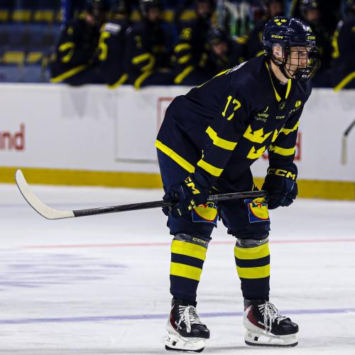 Elton Hermansson - Stats, Contract, Salary & More