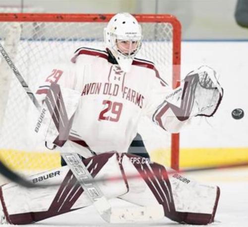 Michael Heinke - Stats & Facts - Elite Prospects