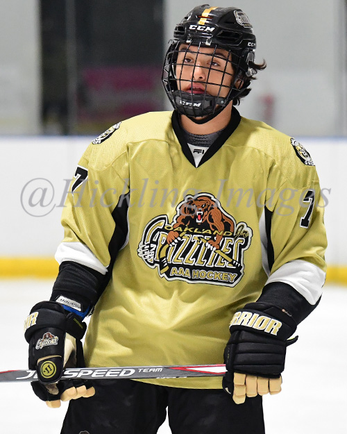 Jack Arizo - Elite Prospects