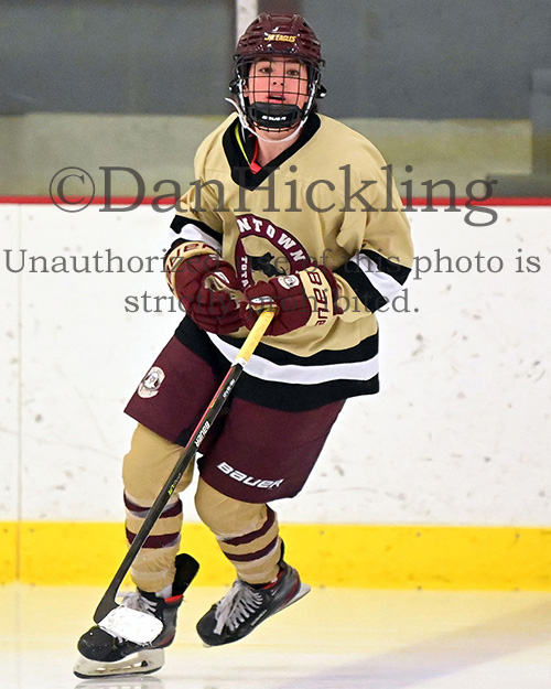 David Bosco - Elite Prospects