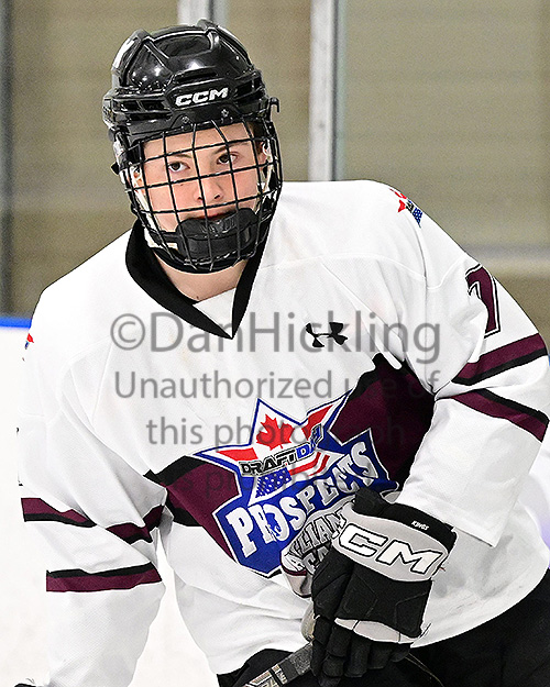 Sebastien Fortin - Stats, Contract, Salary & More