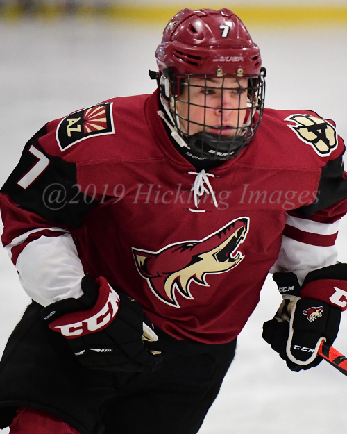 Will Shephard - Elite Prospects