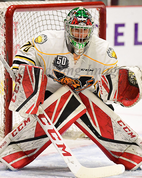 Nathan Darveau - Elite Prospects