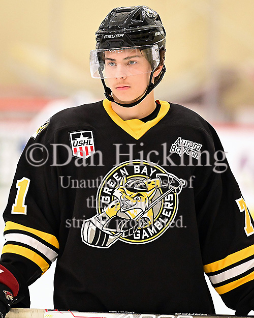 Mykhailo Danylov - Elite Prospects