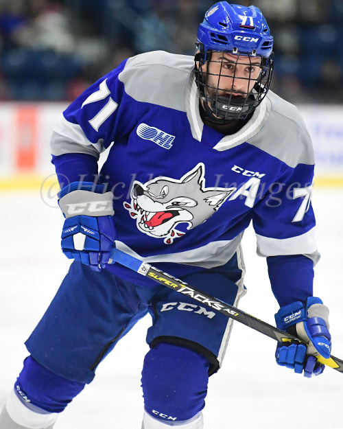 David Levin - Elite Prospects