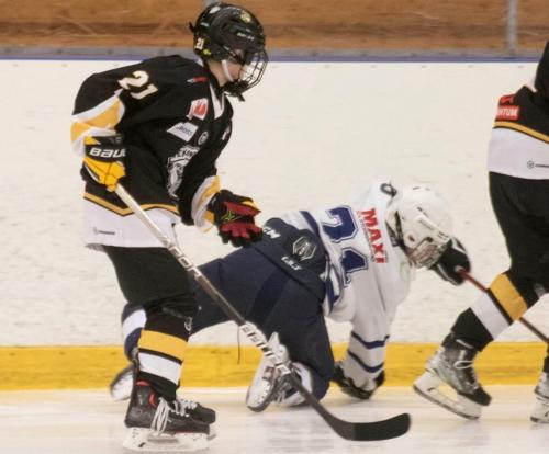 Hampus Holmberg - Stats & Facts - Elite Prospects