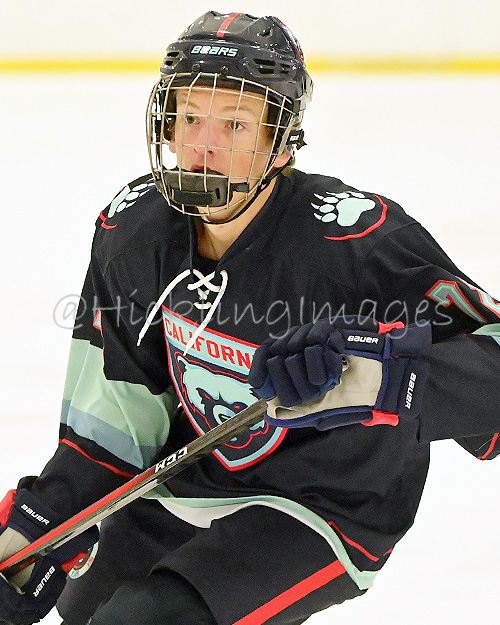 Liam Collins - Elite Prospects