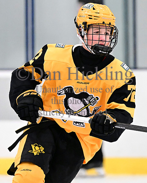 Xavier Villeneuve - Stats & Facts - Elite Prospects