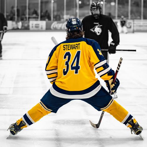 Colton Stewart - Stats, Contract, Salary & More