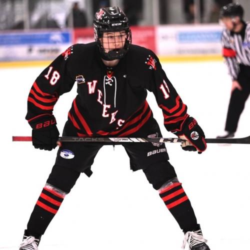 Austin Hoyt - Stats, Contract, Salary & More