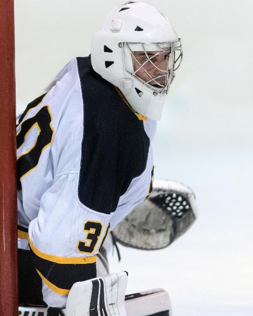 Greg Harney - Elite Prospects