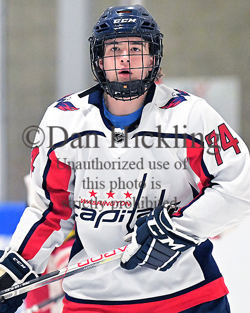 Dylan Anderson - Stats & Facts - Elite Prospects