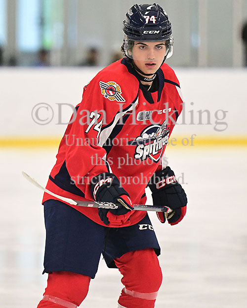 Anthony Cristoforo - Stats, Contract, Salary & More