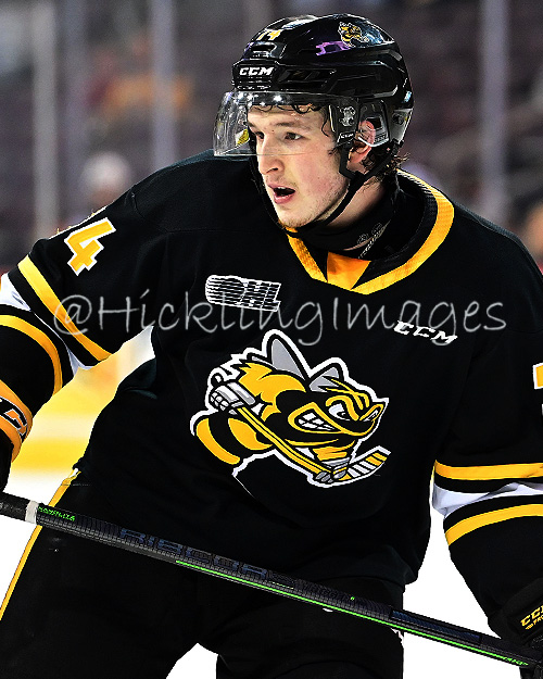 Ethan Ritchie - Elite Prospects