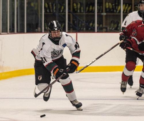 Christopher Hahn - Elite Prospects