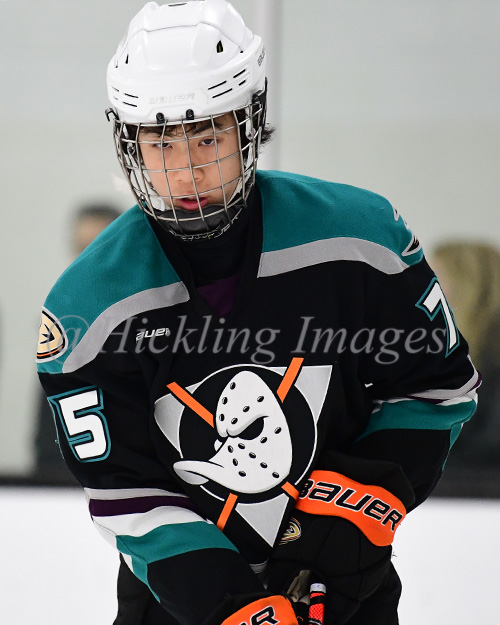 Jay Leung - Elite Prospects