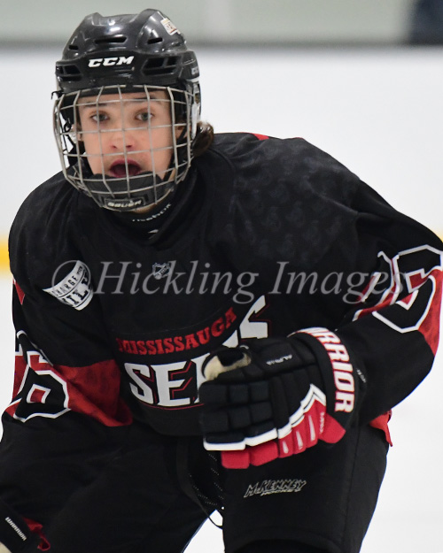 Brayden Turley - Elite Prospects