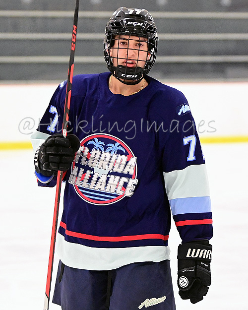 James Cohen - Elite Prospects