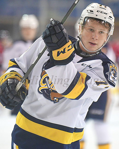 Maxim Golod - Elite Prospects