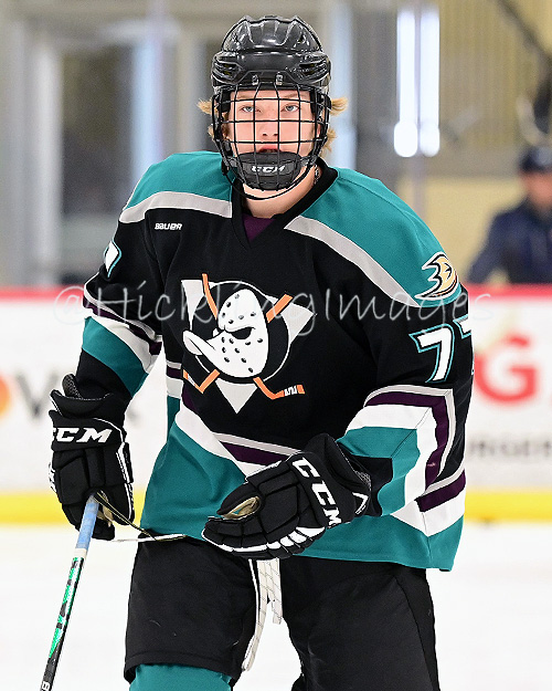 Ty Henricks - Elite Prospects