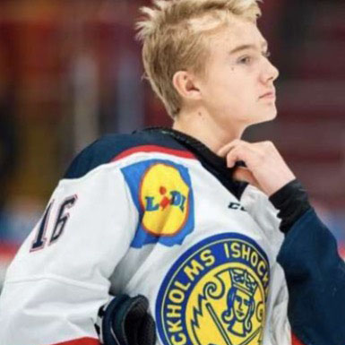 Marcus Nordmark - Stats, Contract, Salary & More