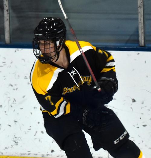 Michael Birmingham - Stats & Facts - Elite Prospects