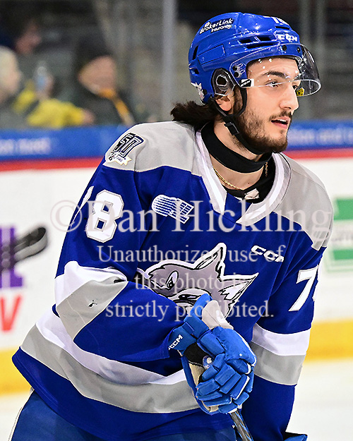 Andre Anania - Stats, Contract, Salary & More