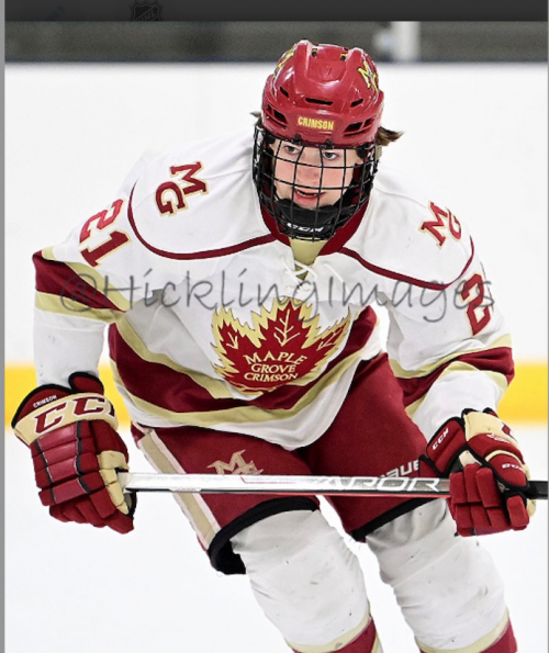 Lucas Busch - Stats, Contract, Salary & More