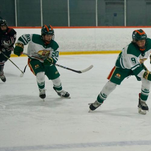 Tyler Donaldson - Stats, Contract, Salary & More