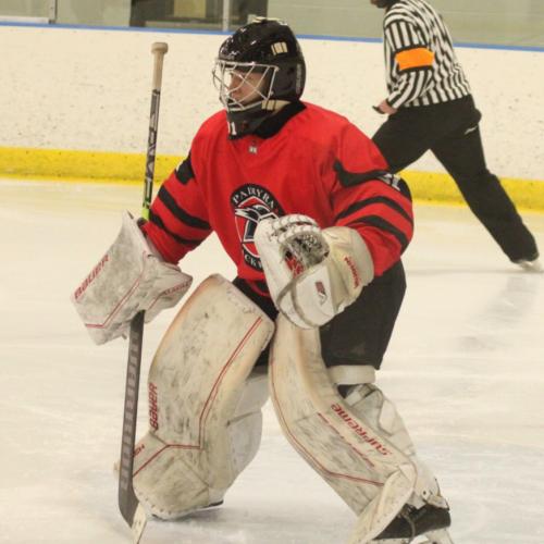 Alexander Placeres - Stats & Facts - Elite Prospects