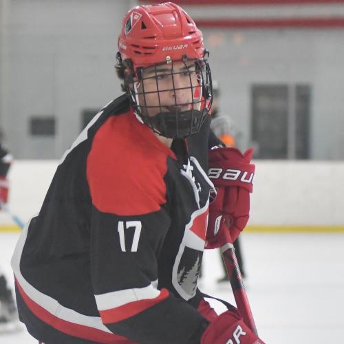 Marko Goich - Stats, Contract, Salary & More