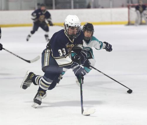 Ethan McGee - Stats, Contract, Salary & More