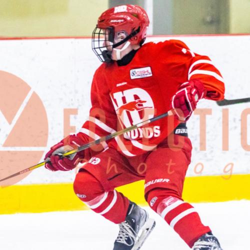 Dominique Fortin - Stats & Facts - Elite Prospects