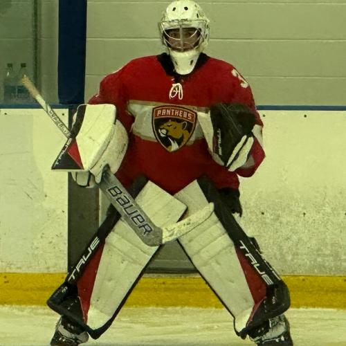 Dylan Wildstein - Stats, Contract, Salary & More