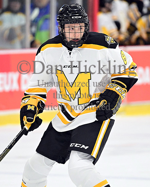 Ethan Bibeau - Stats, Contract, Salary & More