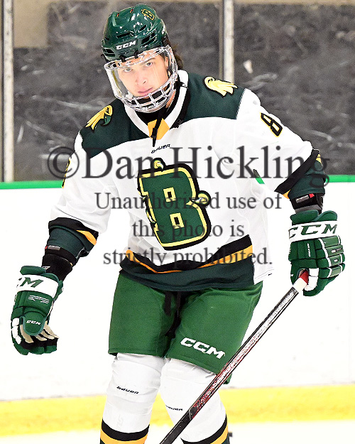 Ryan Brow - Elite Prospects