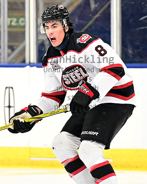 Jackson Crowder - Stats, Contract, Salary & More