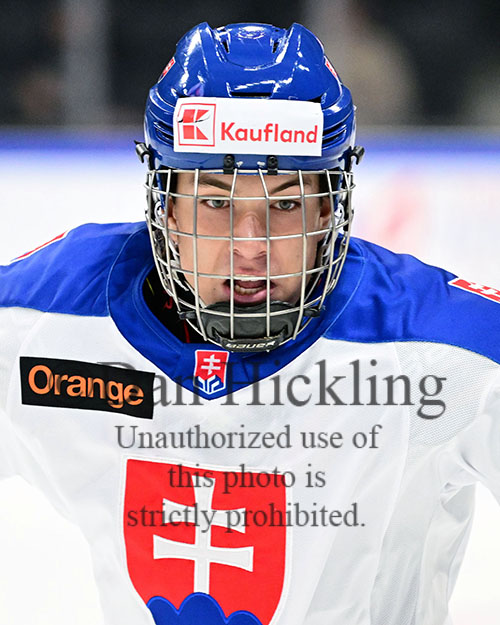 Richard Durina - Stats & Facts - Elite Prospects