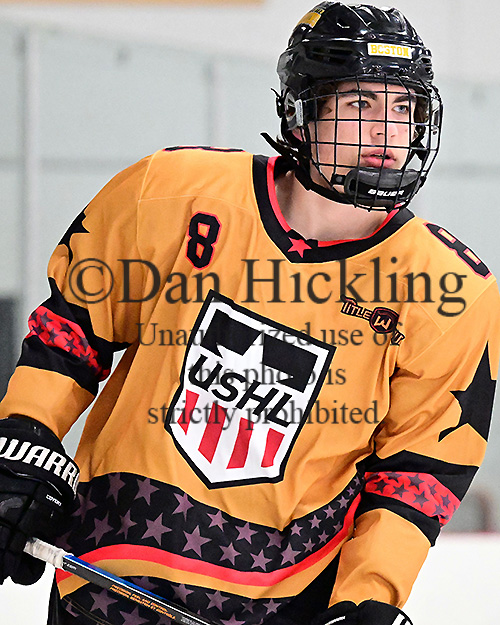 Alex Gomes - Stats & Facts - Elite Prospects