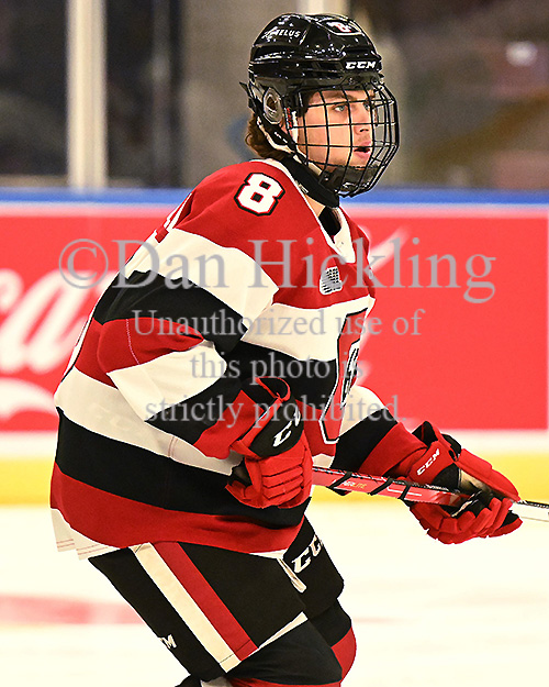 Frankie Marrelli - Elite Prospects