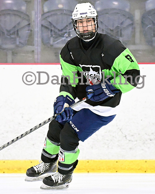 Hayden Newman - Elite Prospects