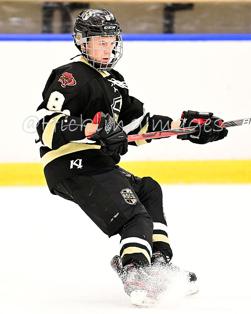 Will Penoyer - Elite Prospects